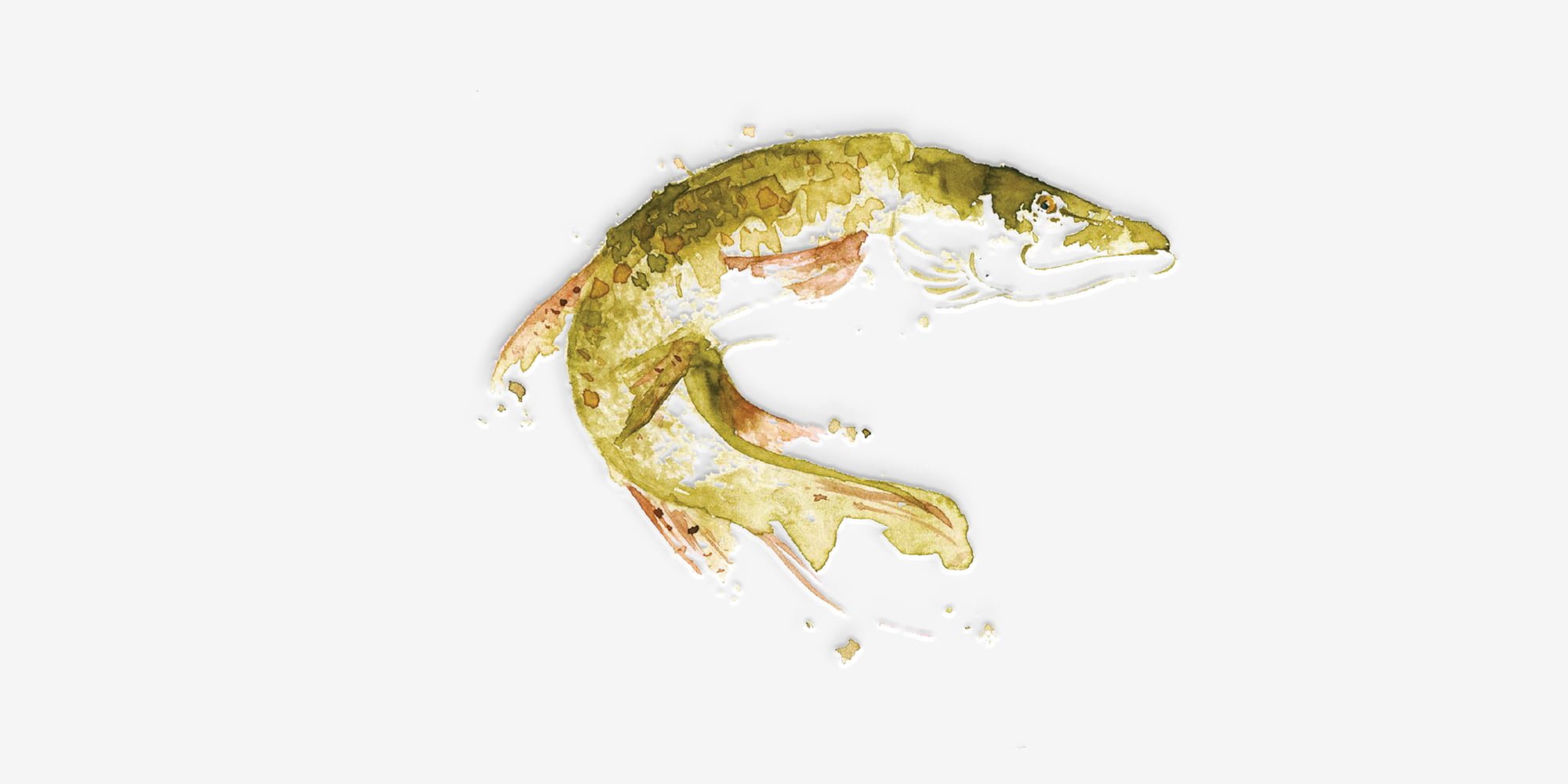 Fritton Lake - The English Group